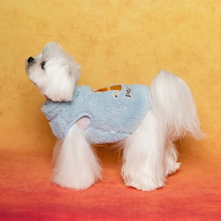 TrendPaws | A chic boutique for fashionable pets. – Where Unique Pet ...